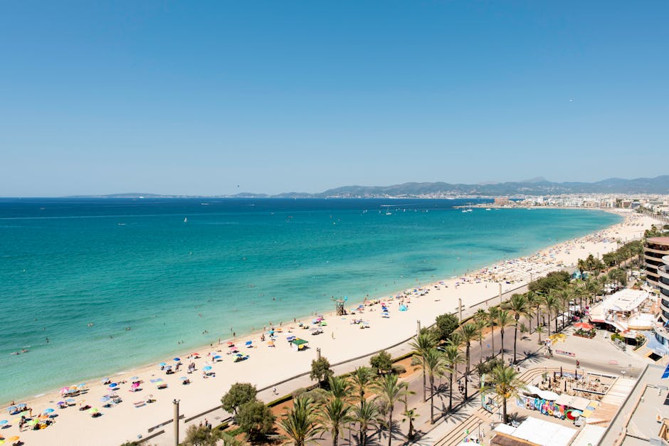 Die aktuelle Verpflegungspauschale für Spanien / Palma de Mallorca 2025